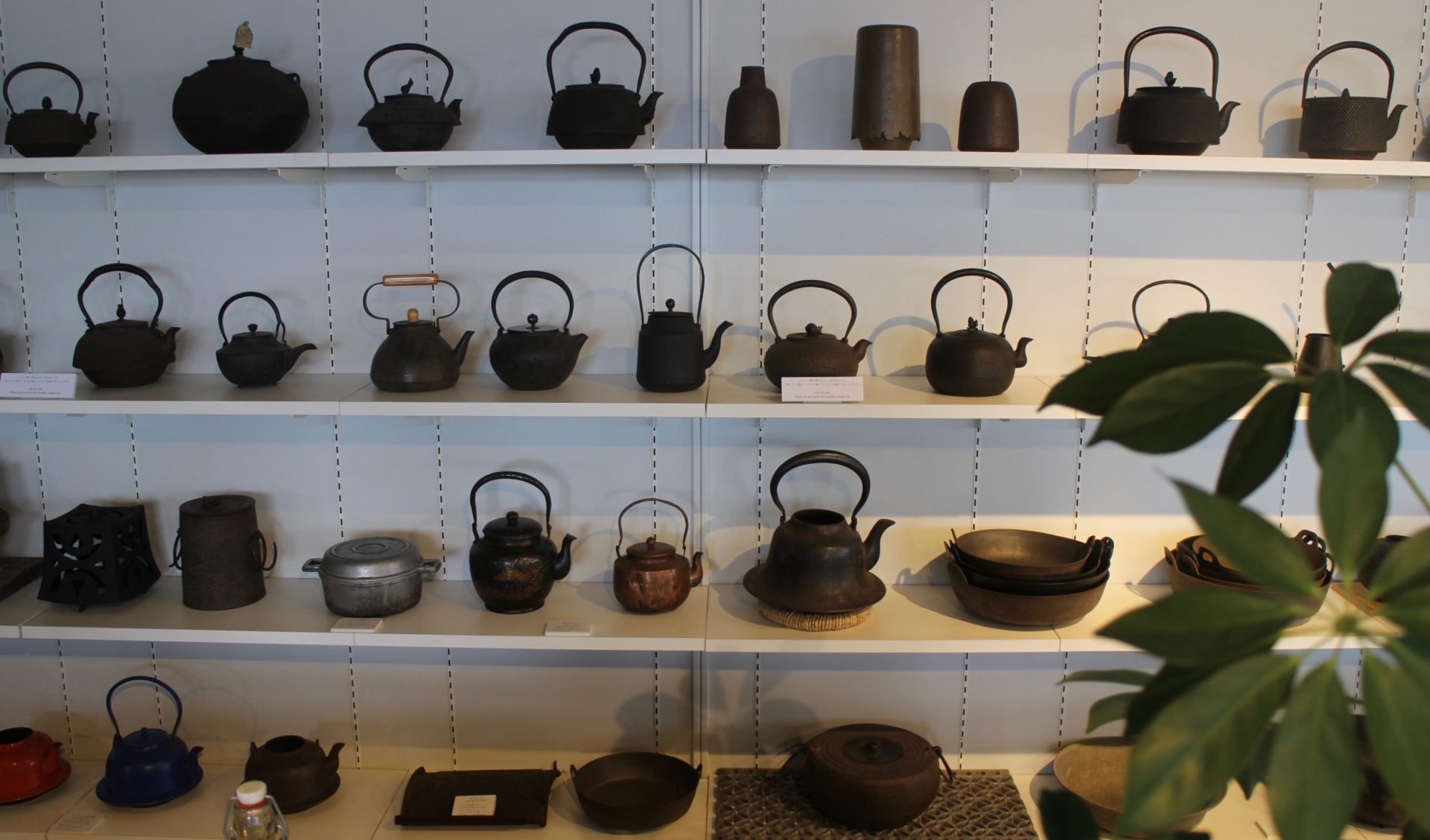 Oigen Cast Iron | History, How To Use, Care for your Cast Iron